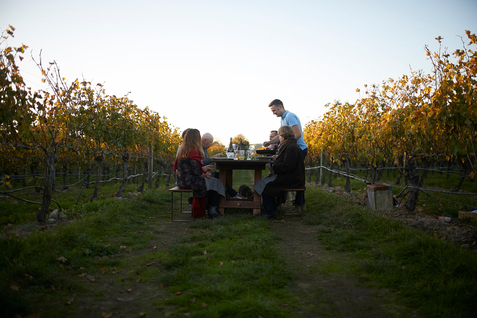 News - Smith & Sheth